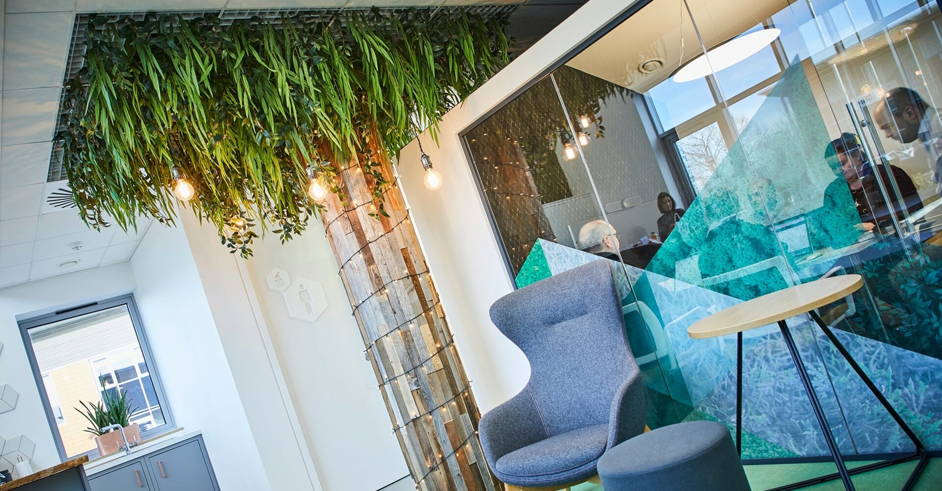 Biophilic Design Trends: How to Bring Nature into the Office